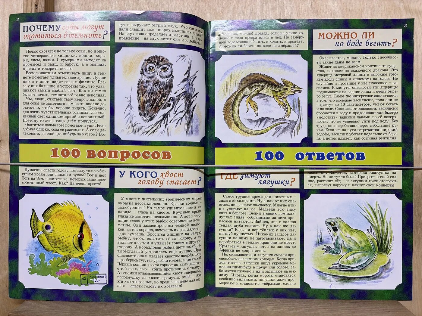 Отчего и Почему — фото 1