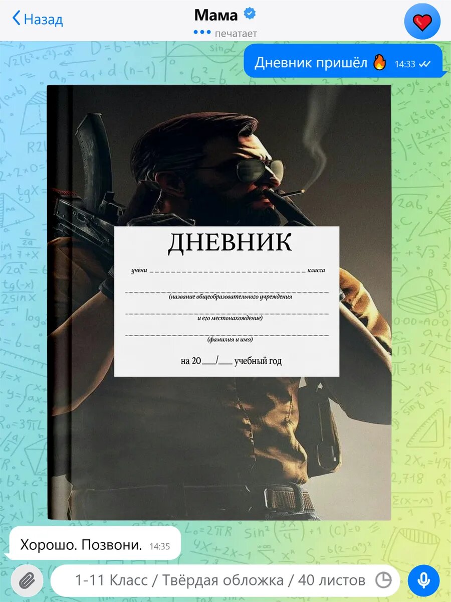 Школьный дневник с принтом Роблокс