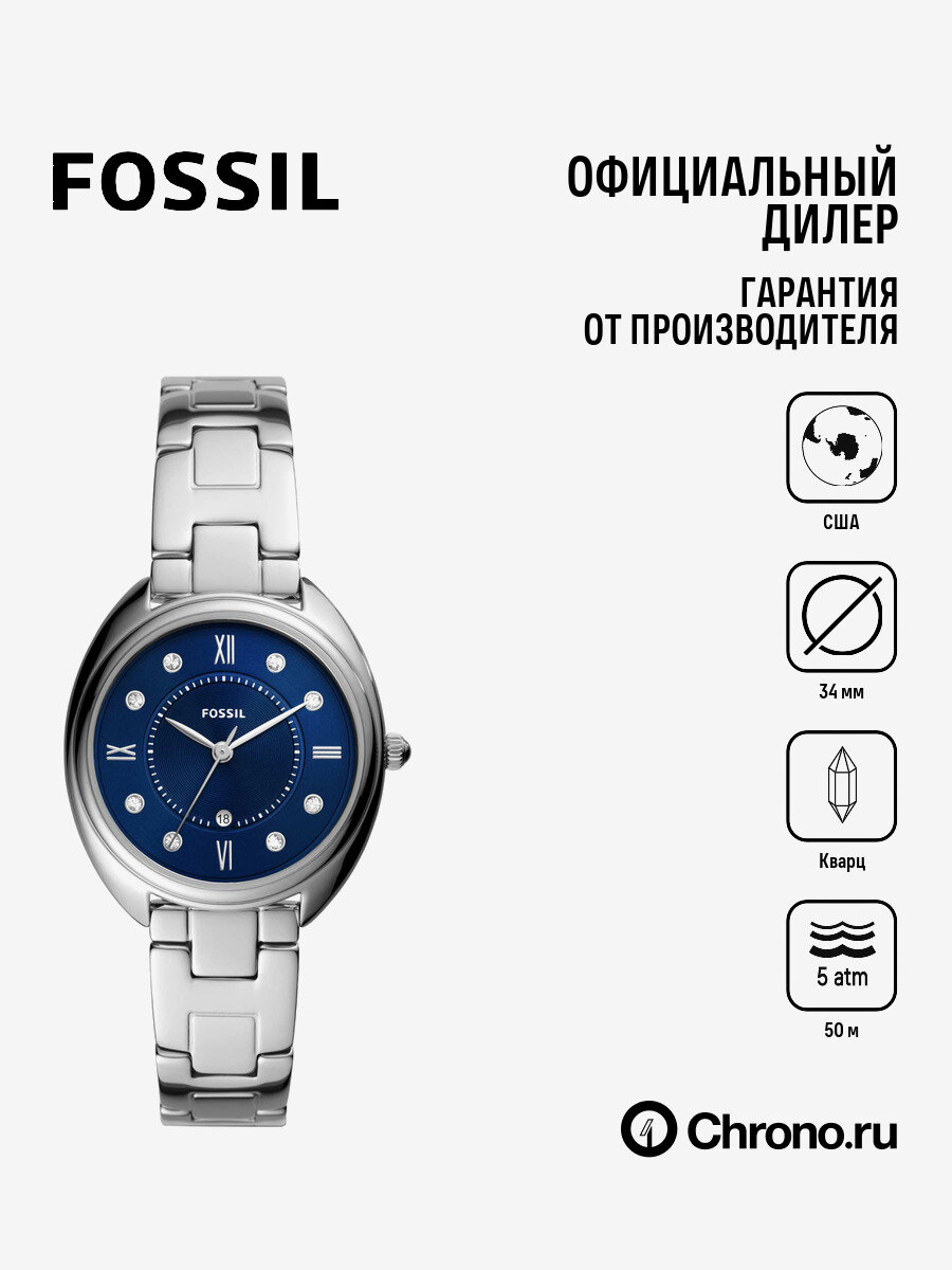  FOSSIL Gabby