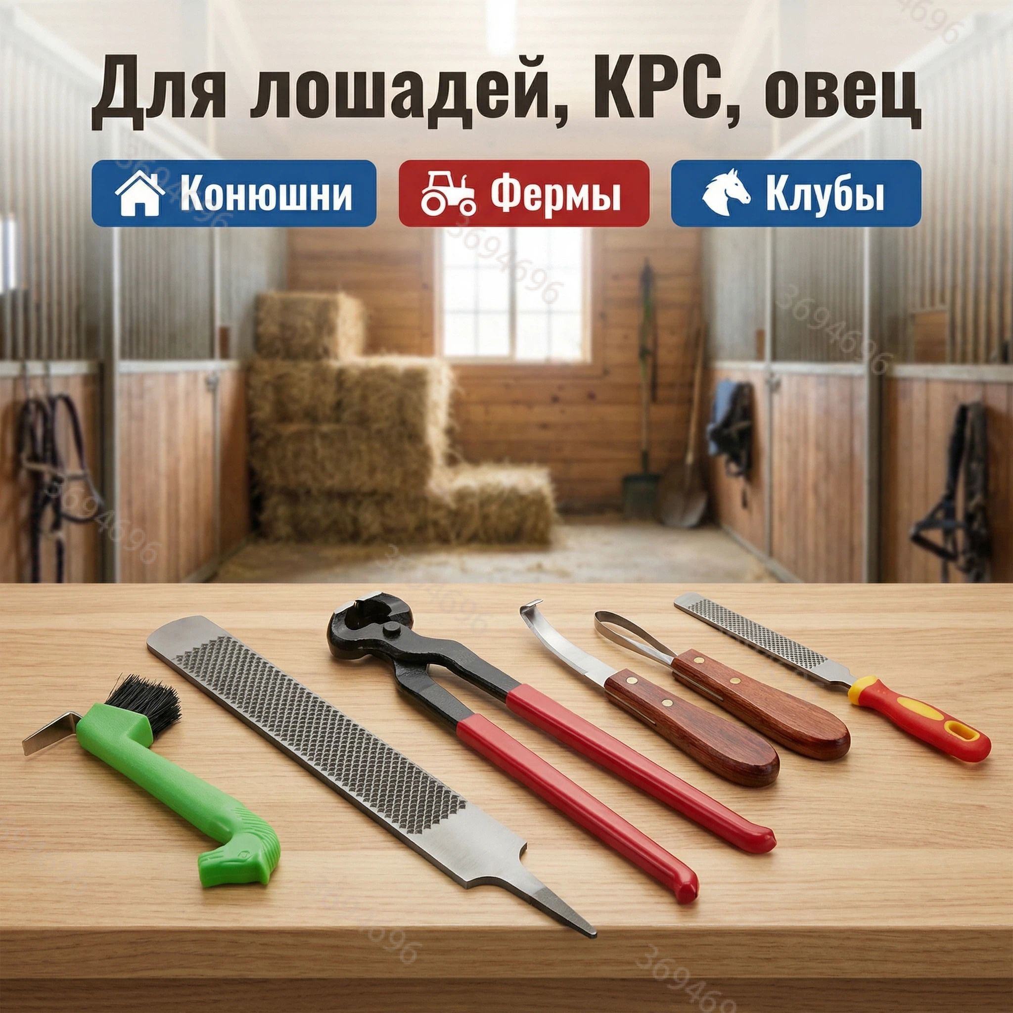 Набор инструментов для ухода за копытами лошадей: копытный нож, клещи, рашпиль, крючок. Профессиональный комплект для расчистки и обрезки в портативном футляре. Конюшенный инвентарь.