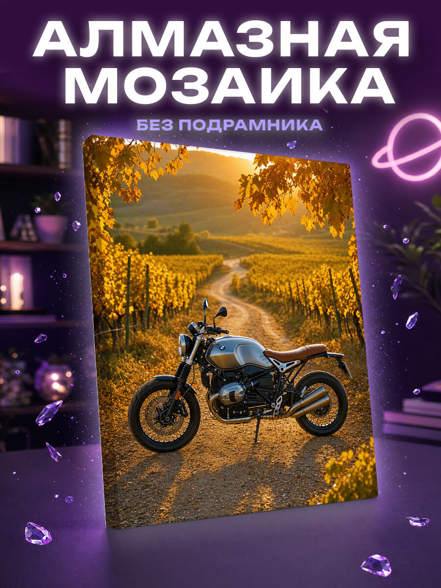 Алмазная мозаика Янтарная осень BMW R nineT