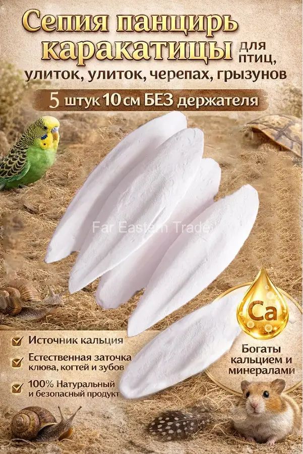 Сепия панцирь каракатицы для птиц, улиток, черепах, грызунов 5 штуки 10 см без держателя