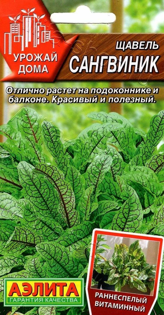Семена "Щавель Сангвиник"
