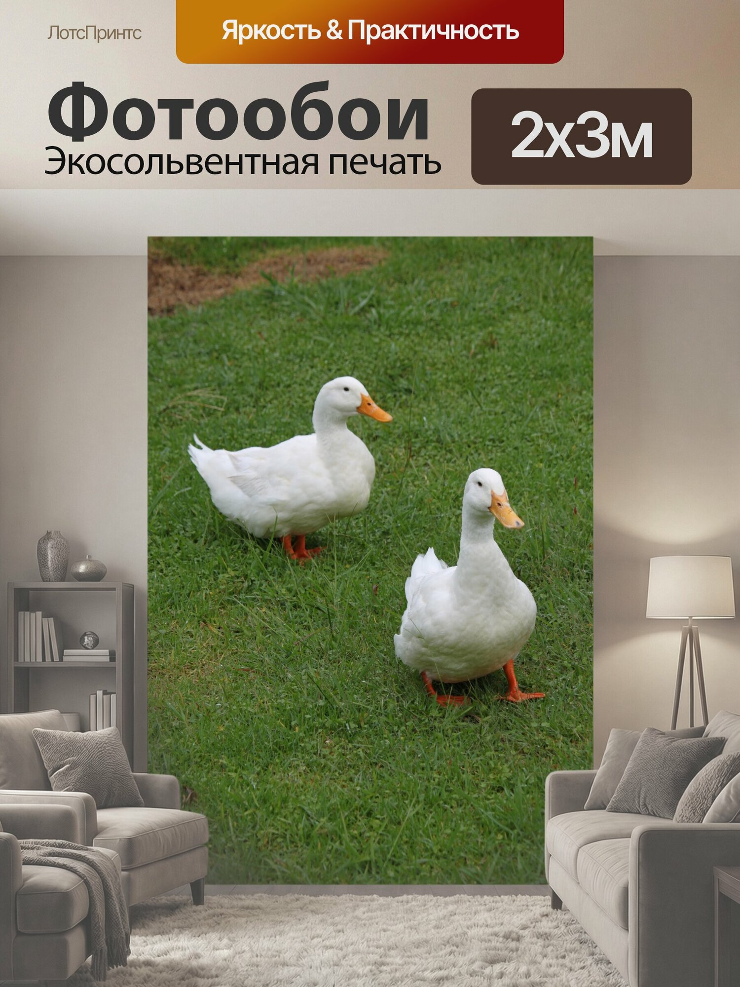 Фотообои "2 белый гусь на траве 2 белый гусь на траве 2 белый гусь трава" 200x300 см. экосольвентная печать