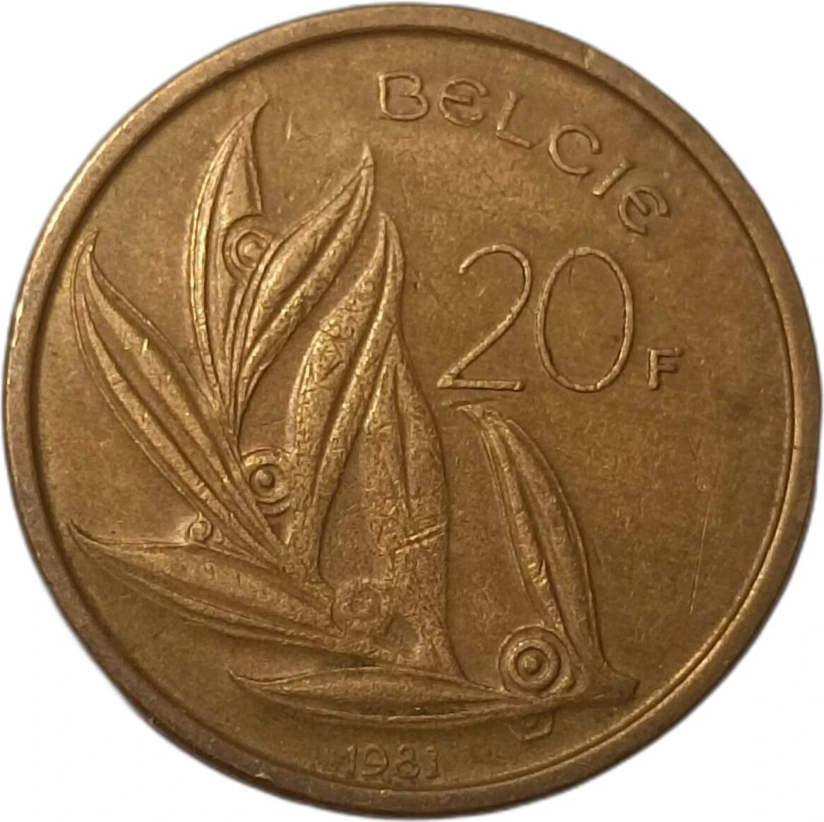 Монета Бельгия 20 франков 1981