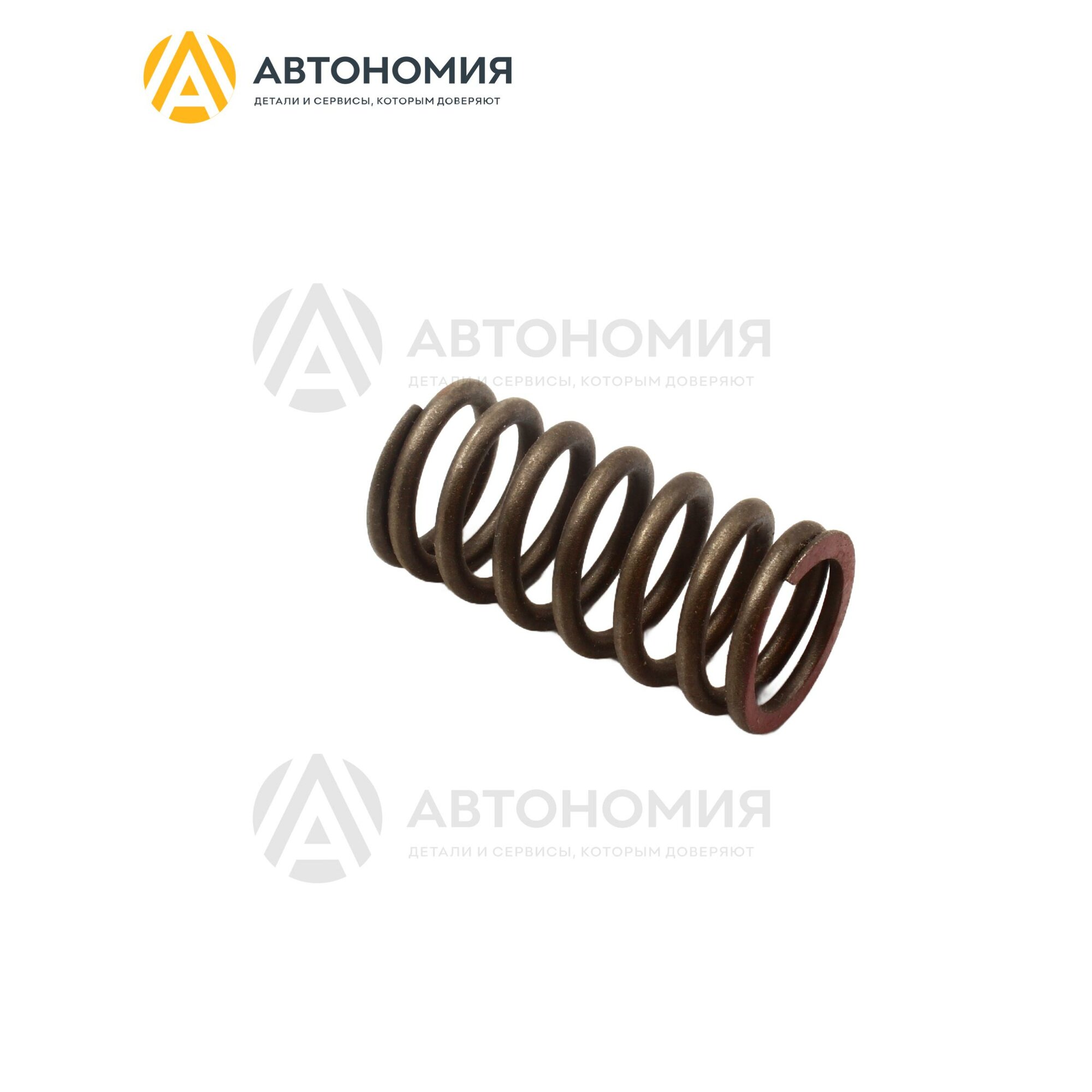Пружина клапана General Motors 96990215