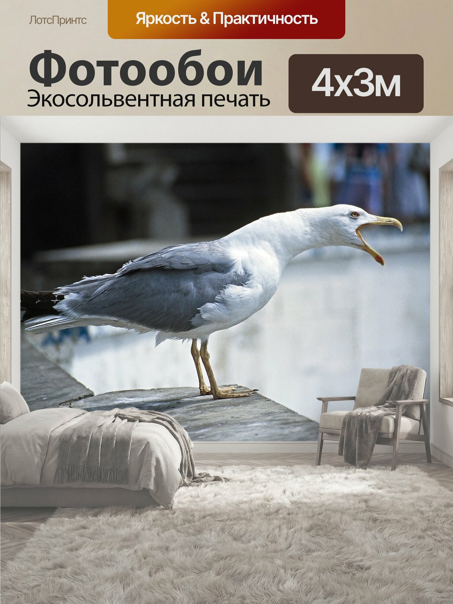 Фотообои "Чайка, крик, клюв" 400x300 см. экосольвентная печать