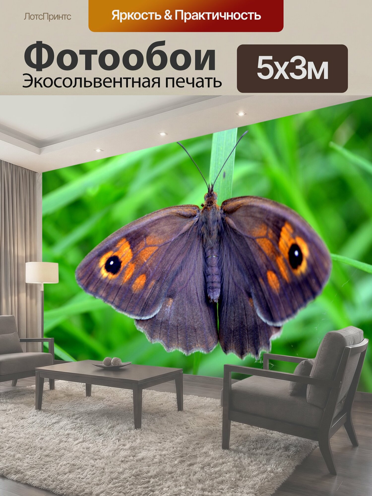 Фотообои "Бабочка, насекомое, трава" 500x300 см. экосольвентная печать