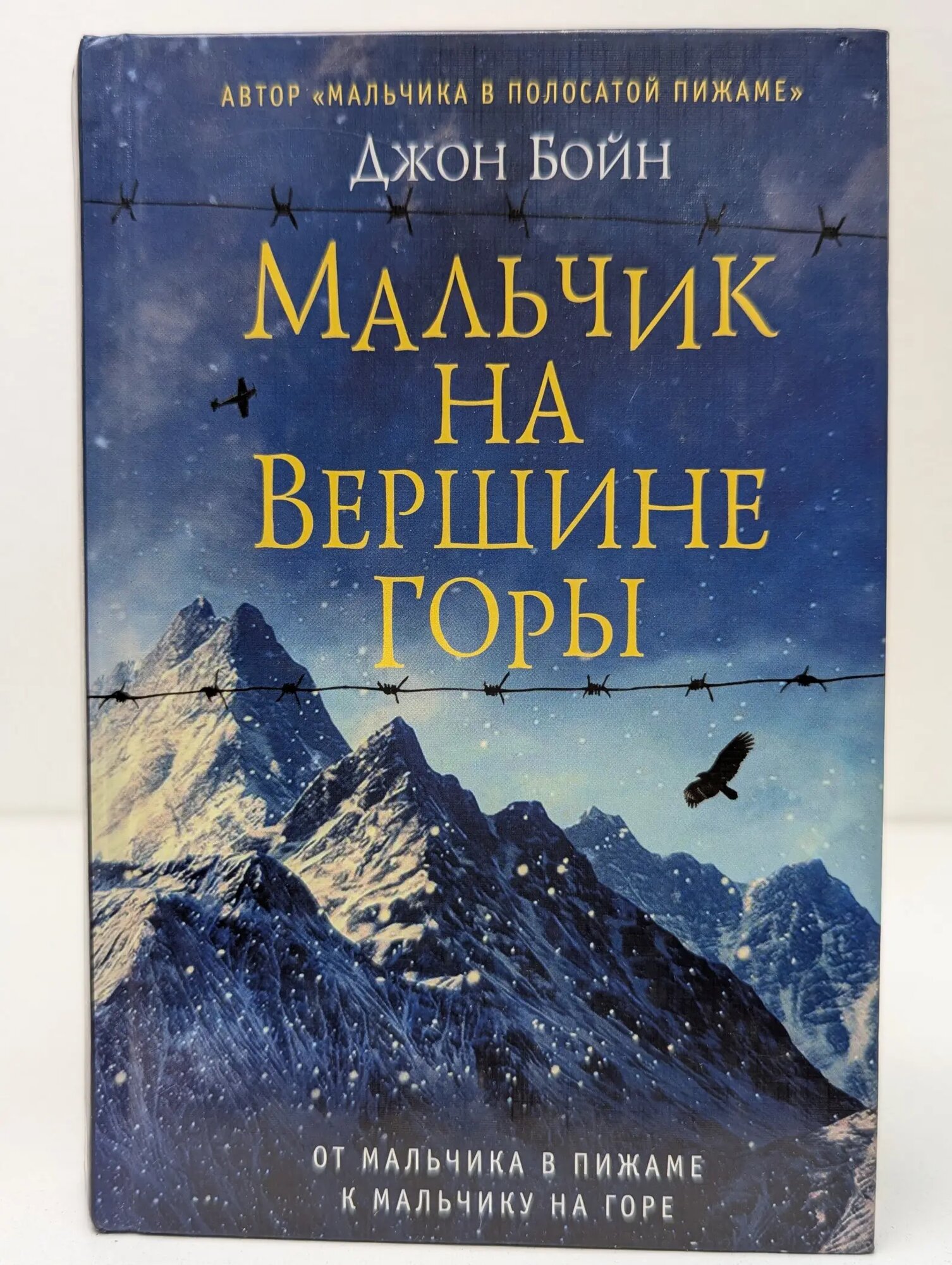 Мальчик на вершине горы Бойн Джон 2016
