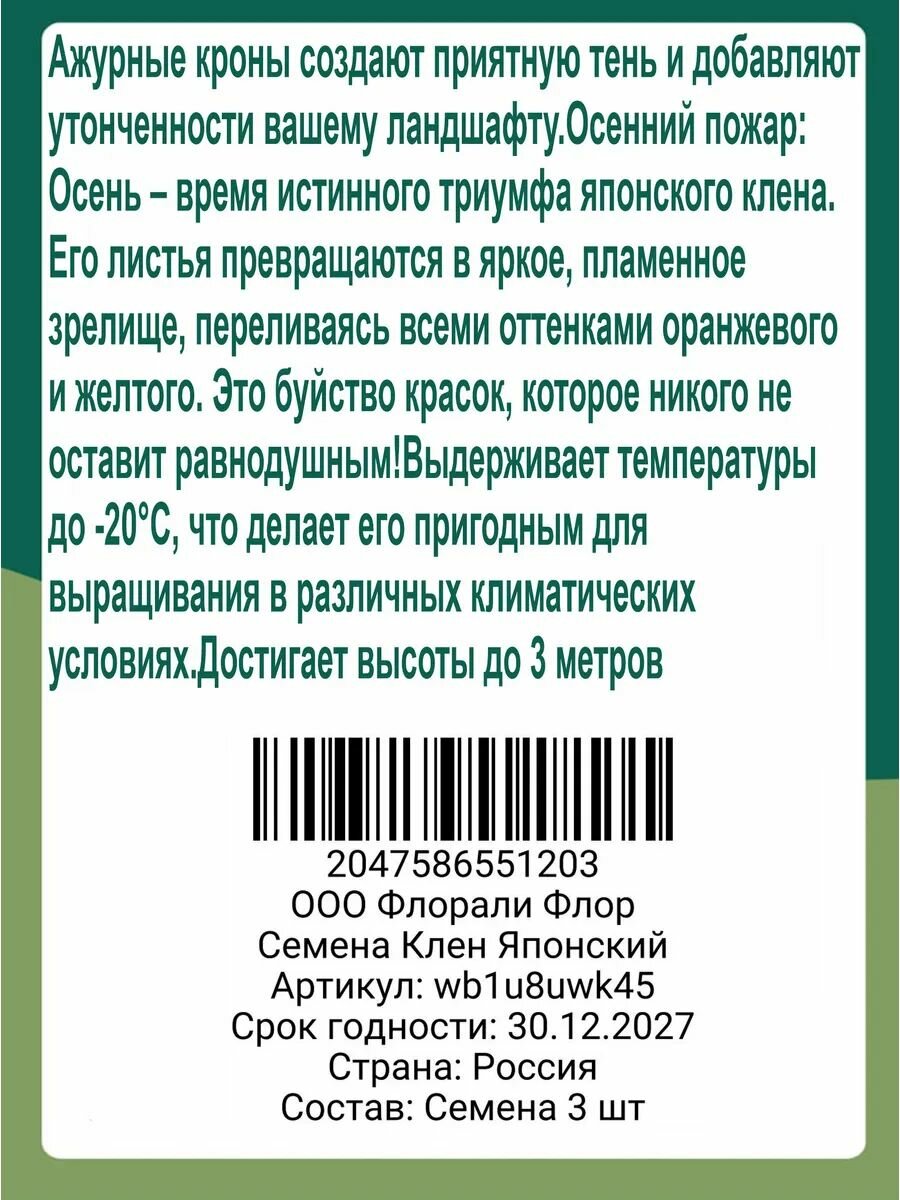 Семена Клен Японский — фото 1