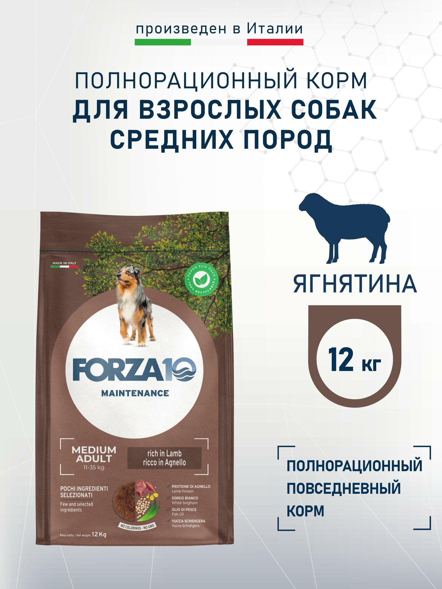 Корм сухой для собак FORZA10 Maintenance Lamb & Rice Medium & Maxi ягненок с рисом, для средних и крупных пород, 12 кг