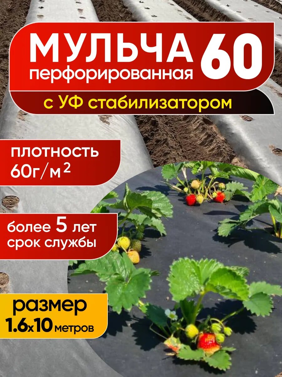 Перфорированная мульча спанбонд 60 г/м². Размер: 1,6х10м