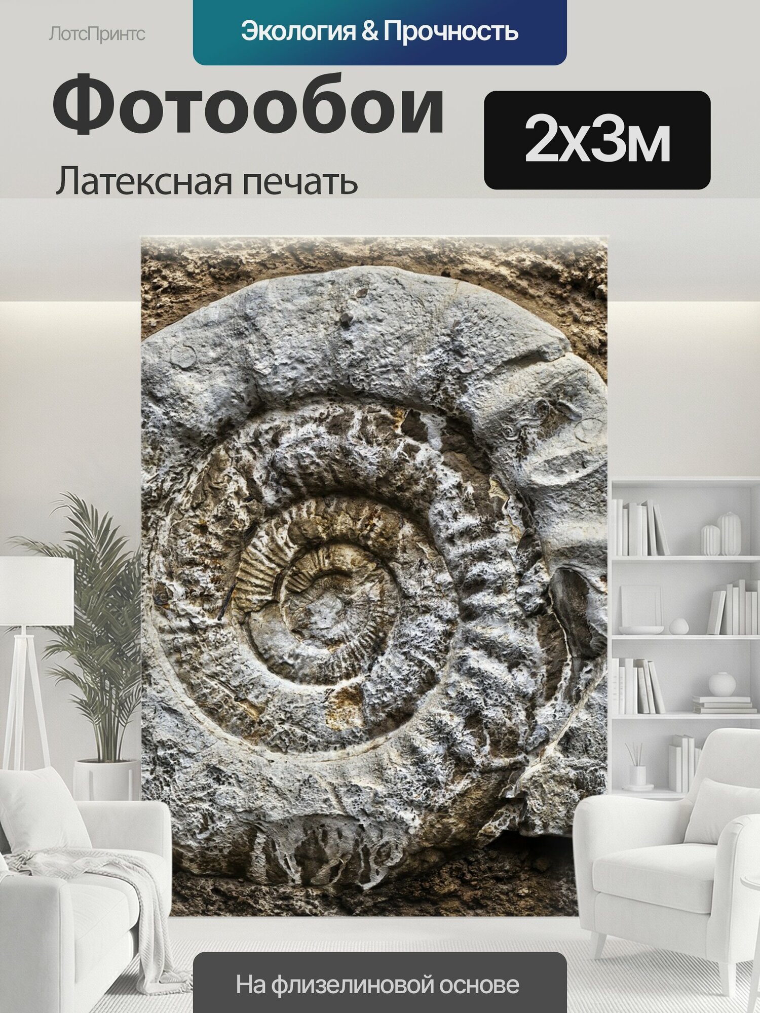 Фотообои моющиеся ударопрочные "Аммонит, ископаемое, окаменение" 200x300 см. латексная печать