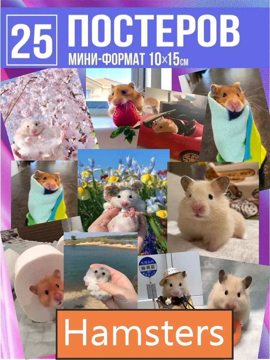 Постеры Карточки в детскую хомячки хомяки