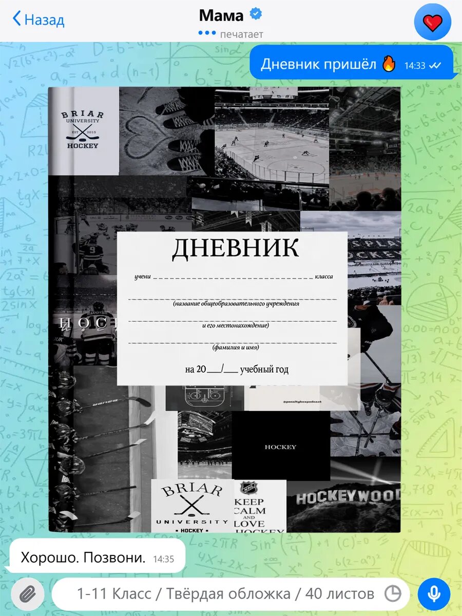 Школьный дневник с принтом Хоккей
