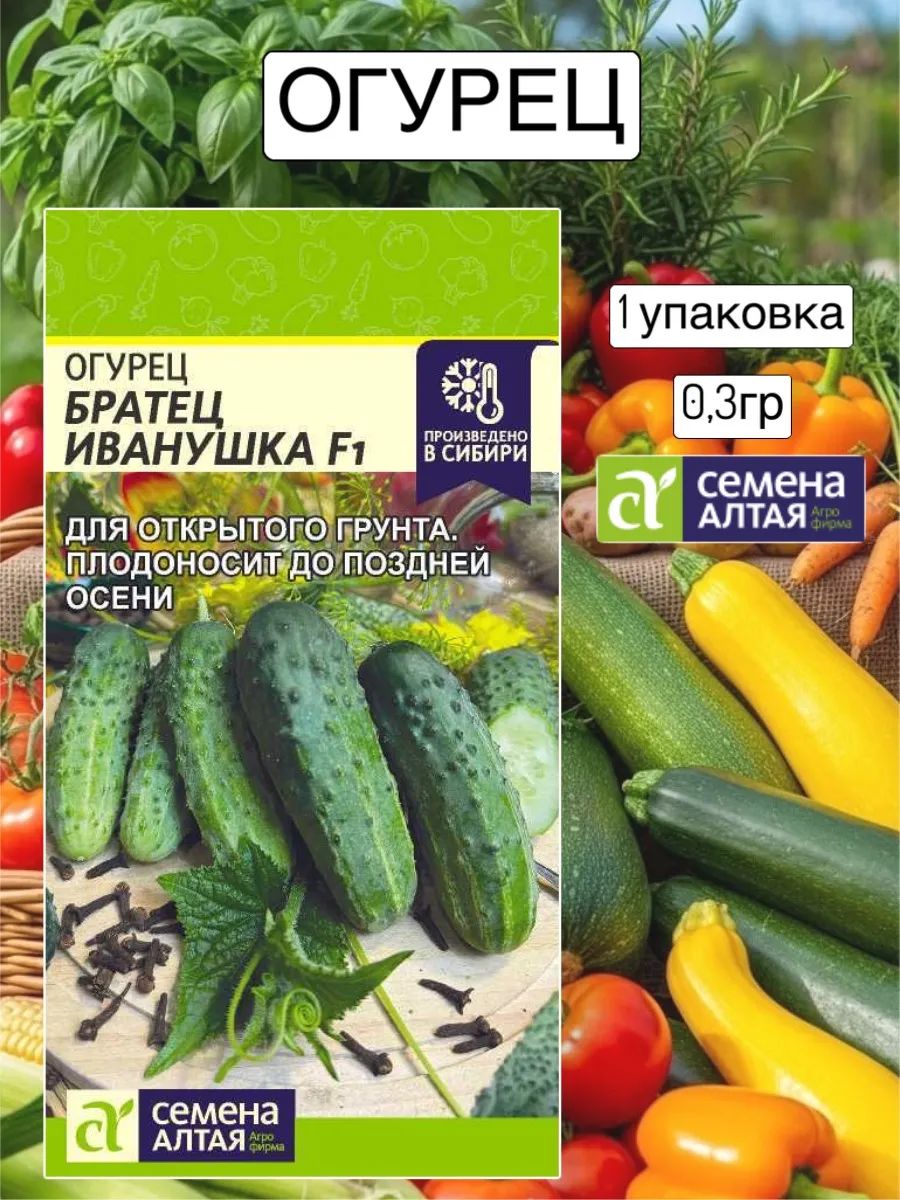 Семена огурцов алтай