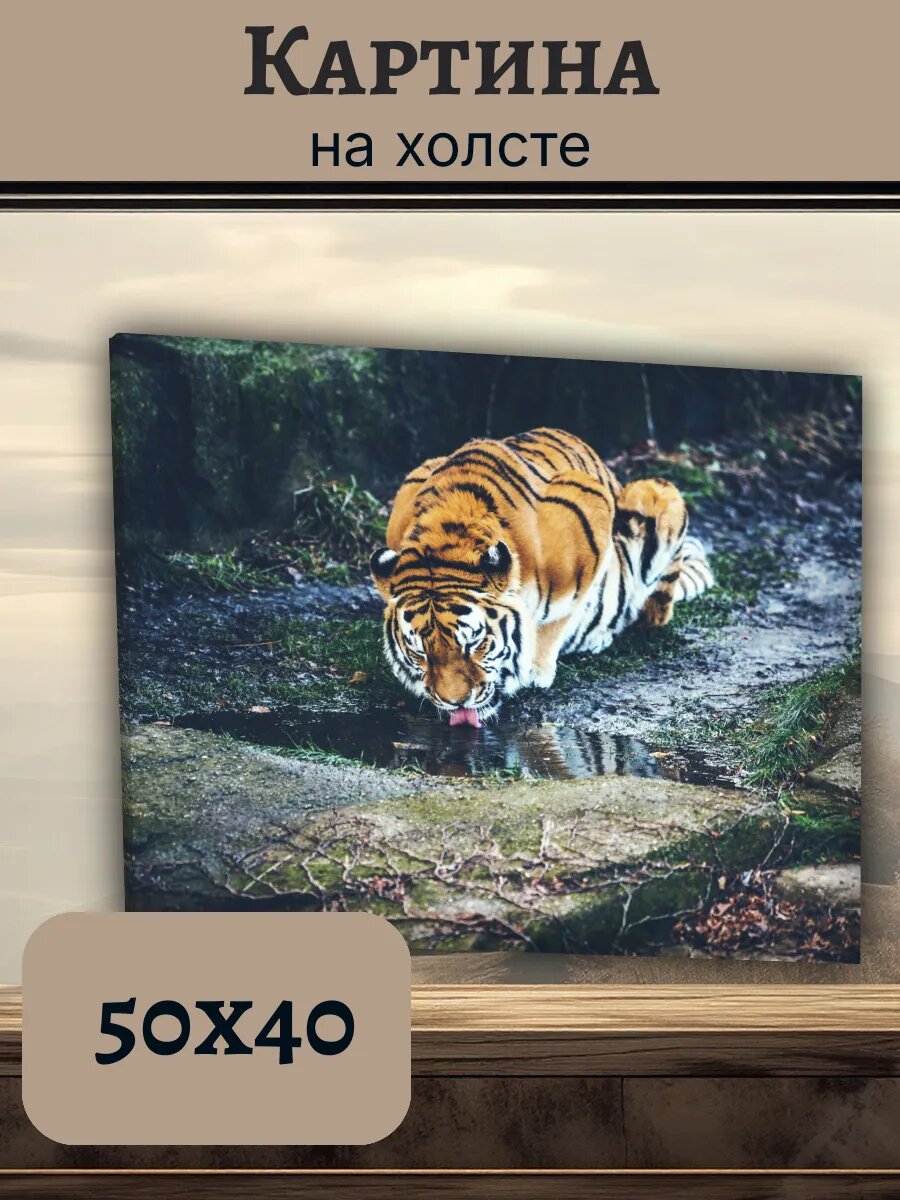 Картина Постер Таиланд Тай 40x50 с изображением тигра