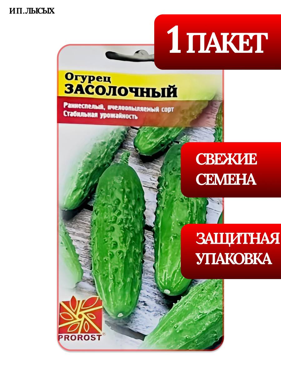 Семена Огурец "Засолочный"