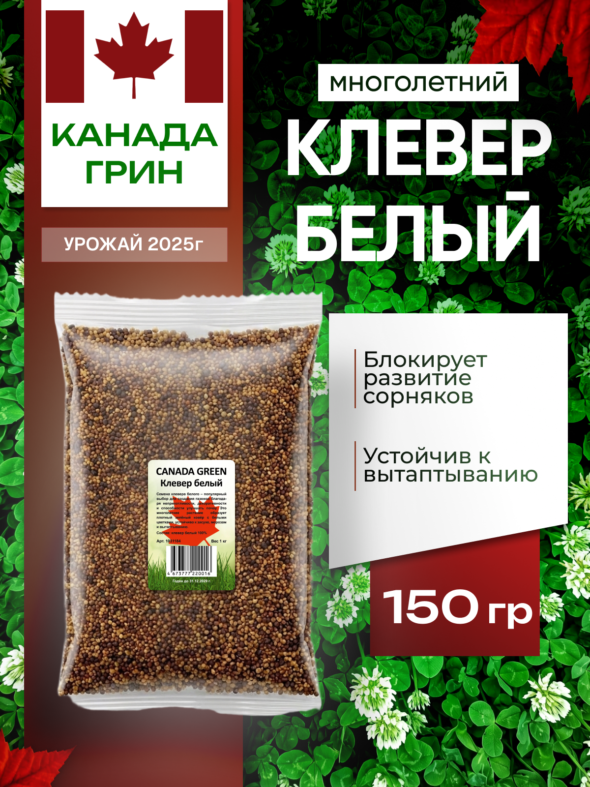 Белый клевер семена 150 гр, ползучий низкорослый