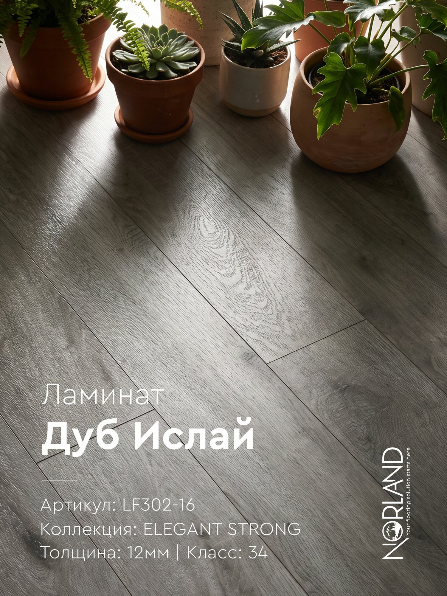 Ламинат 12мм, 34 класс, 4V фаска, замок ClickSystem, Norland Elegant Strong LF302-16 Дуб Ислай, площадь 1,6909м. кв, планка 1220х198