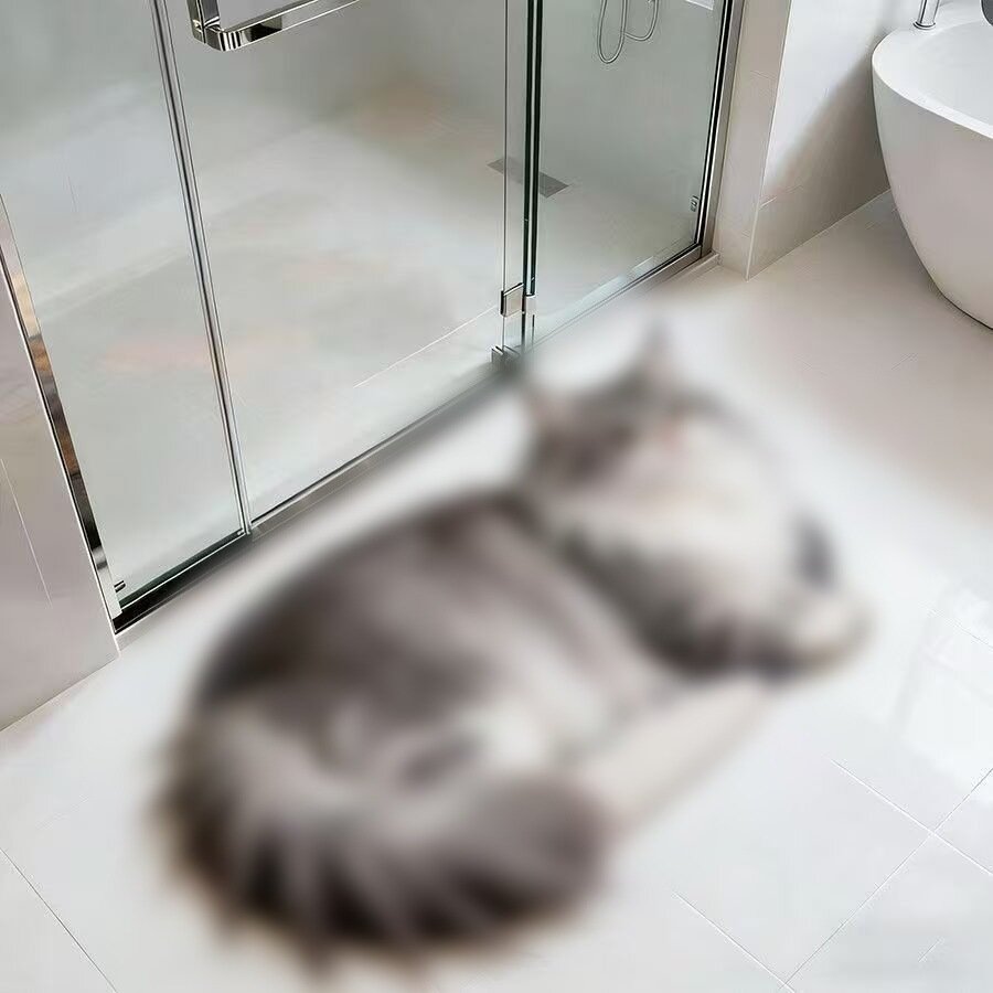 3D Коврик из диатомита для ванной с мейн-кун, мягкий впитывающий, 45x70 см