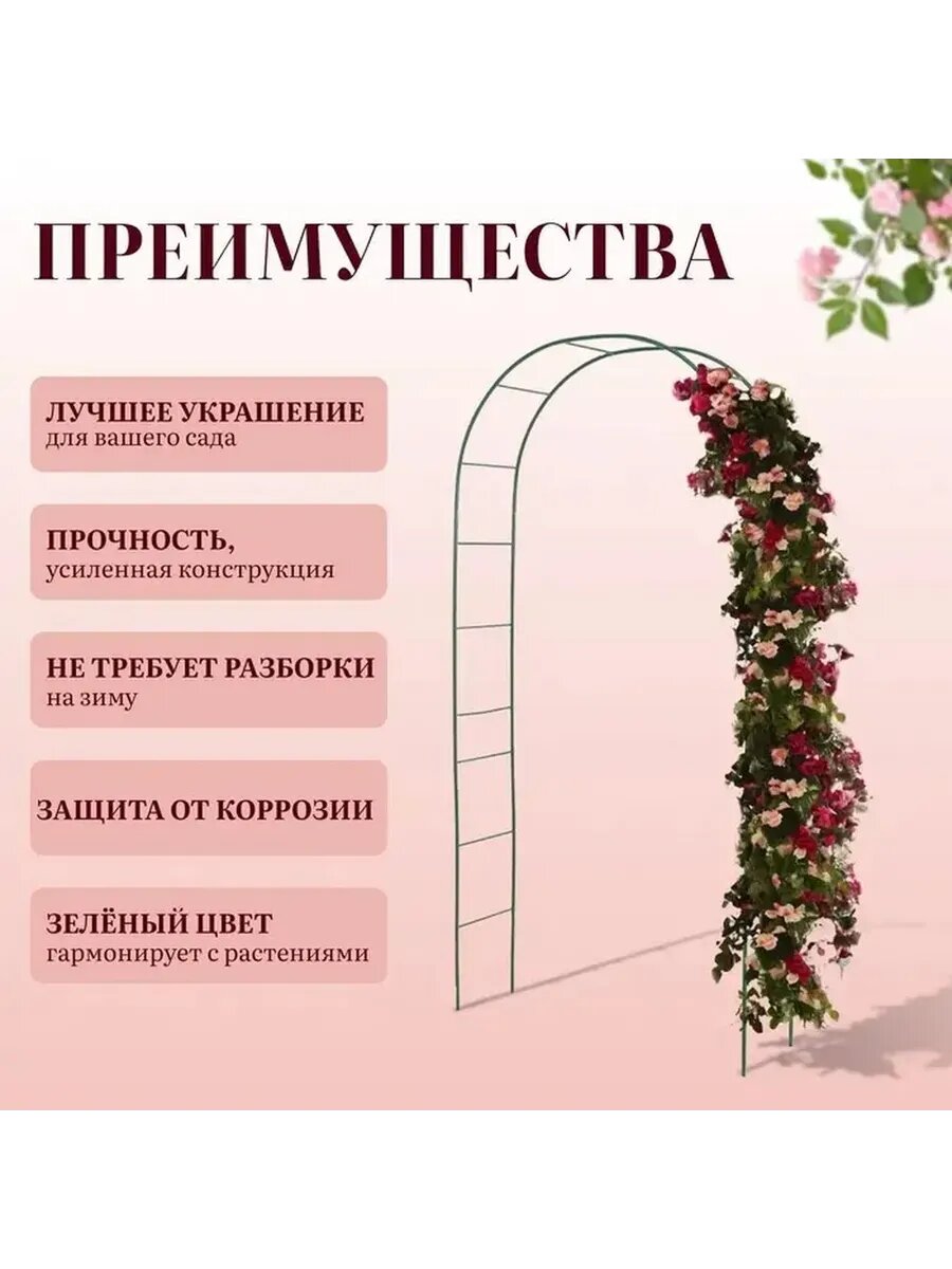 Элегантная садовая арка для вьющихся растений