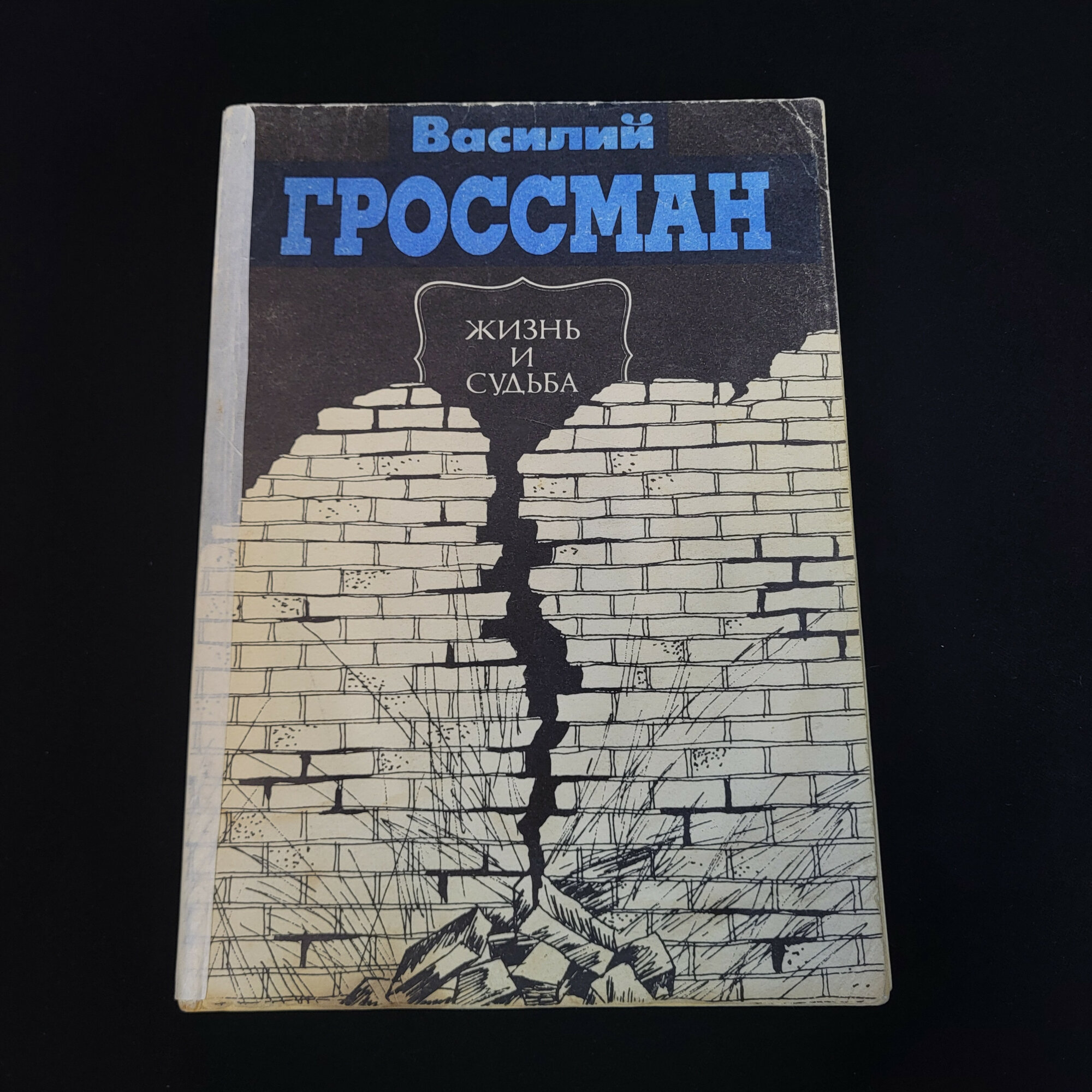 Василий Гроссман. Жизнь и судьба. Книга СССР, историческая литература