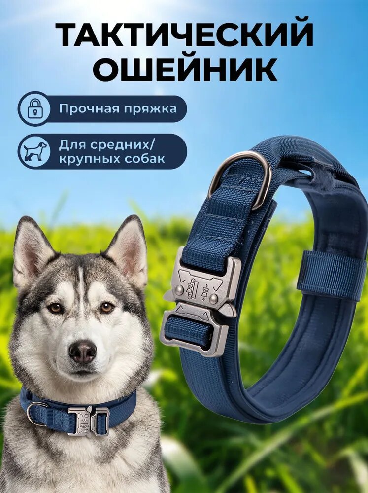 Тактический ошейник для средних и крупных собак