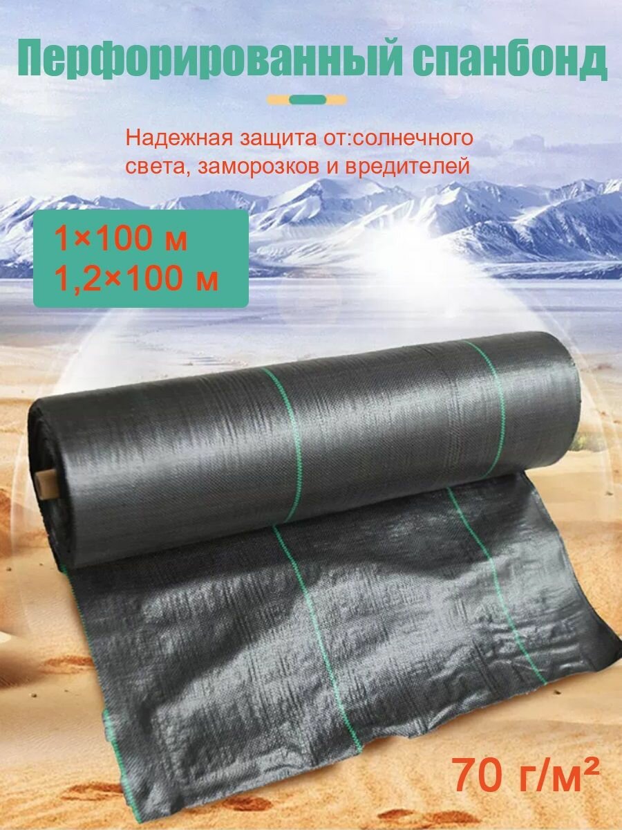 Агроткань от сорняков ASA пластик, 1x200 м