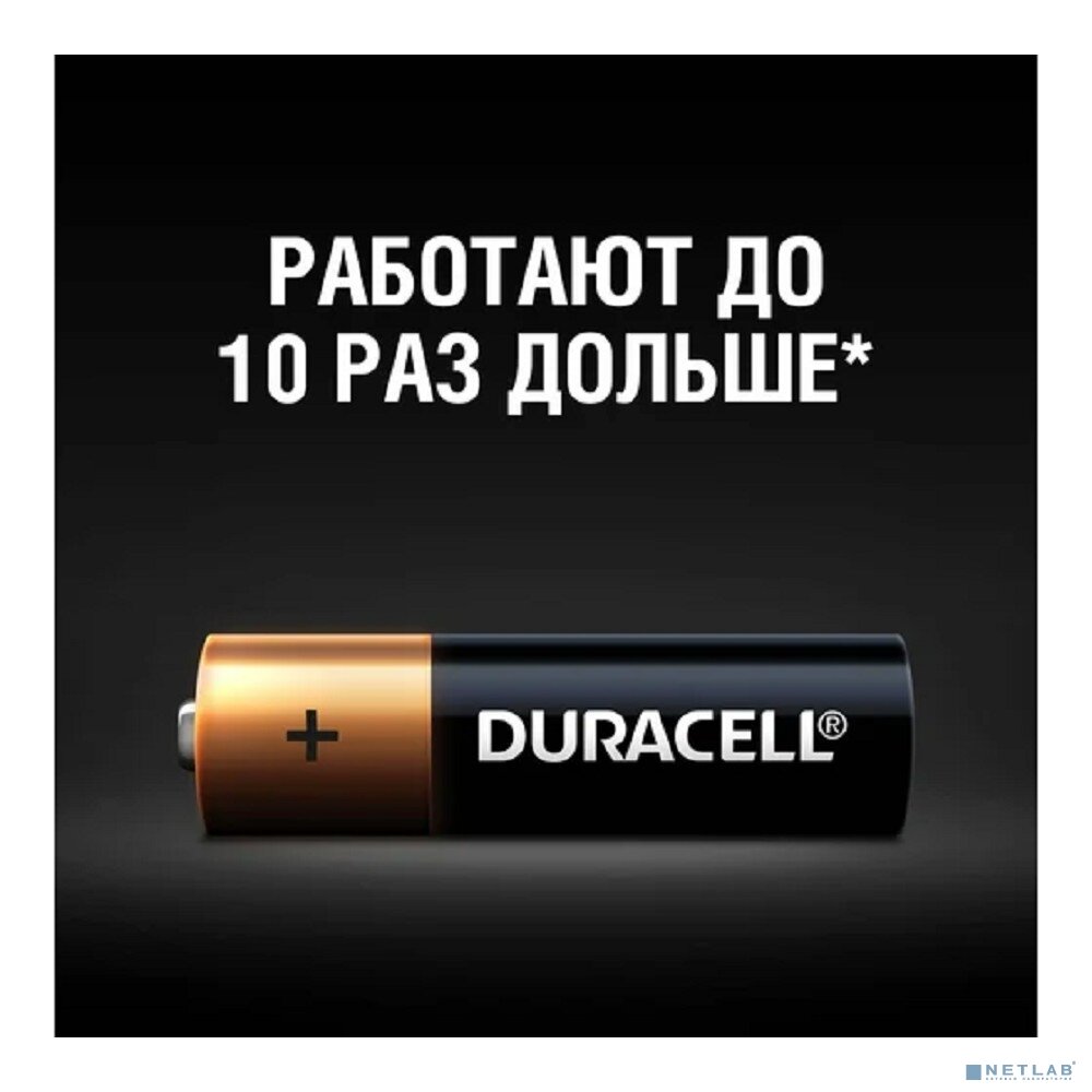 DURACELL LR6-12BL BASIC (12 шт. в уп-ке) — фото 1