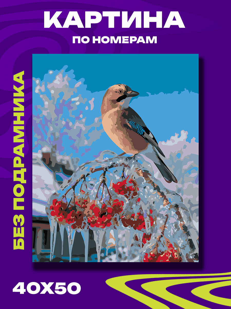 Картина по номерам Сойка на ледяной рябине