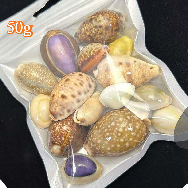 Цветные морские ракушки и раковины каури 50 г для аквариума и домашнего декора