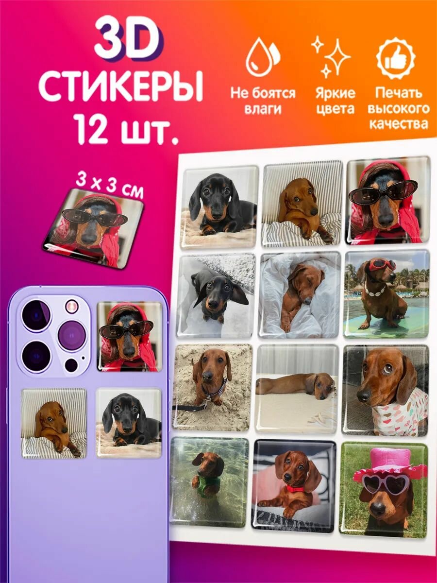 3D стикеры таксы — фото 1