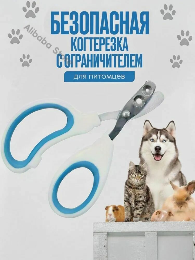 Когтерез