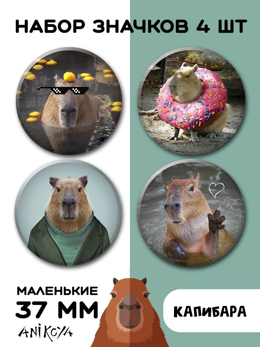 Набор значков AniKoya
