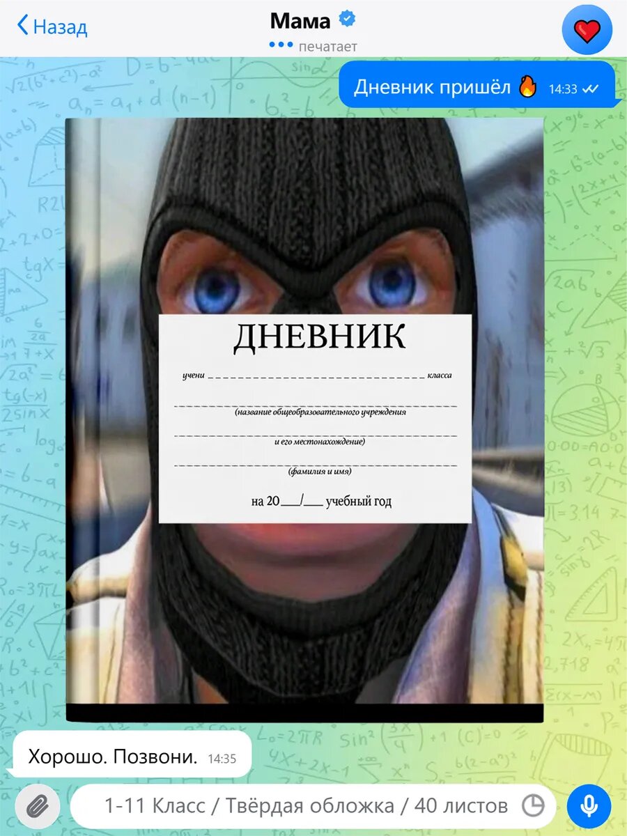 Школьный дневник с принтом Роблокс