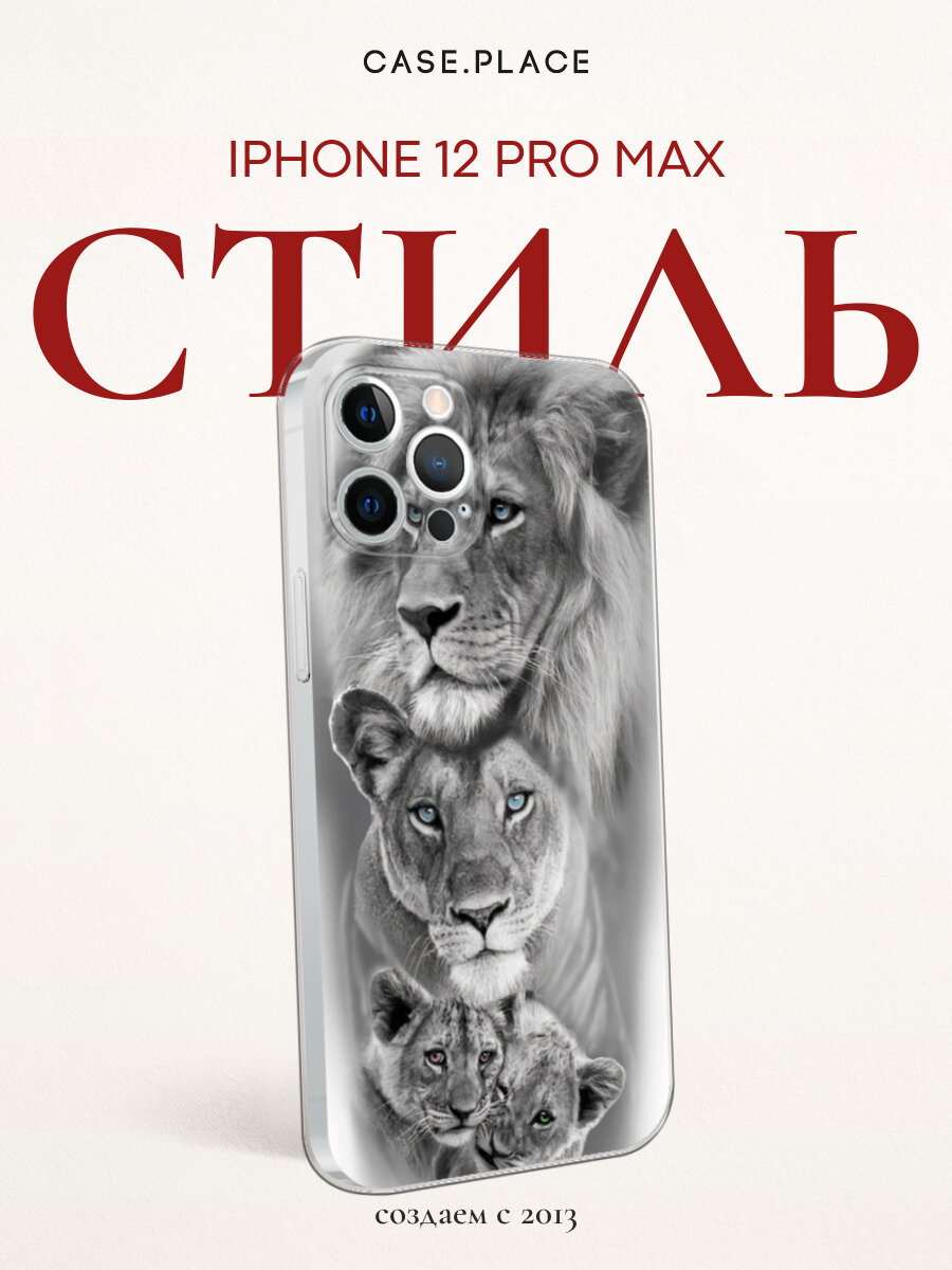 Чехол на Apple iPhone 12 Pro Max / Айфон 12 Про Макс с принтом Львиная семья