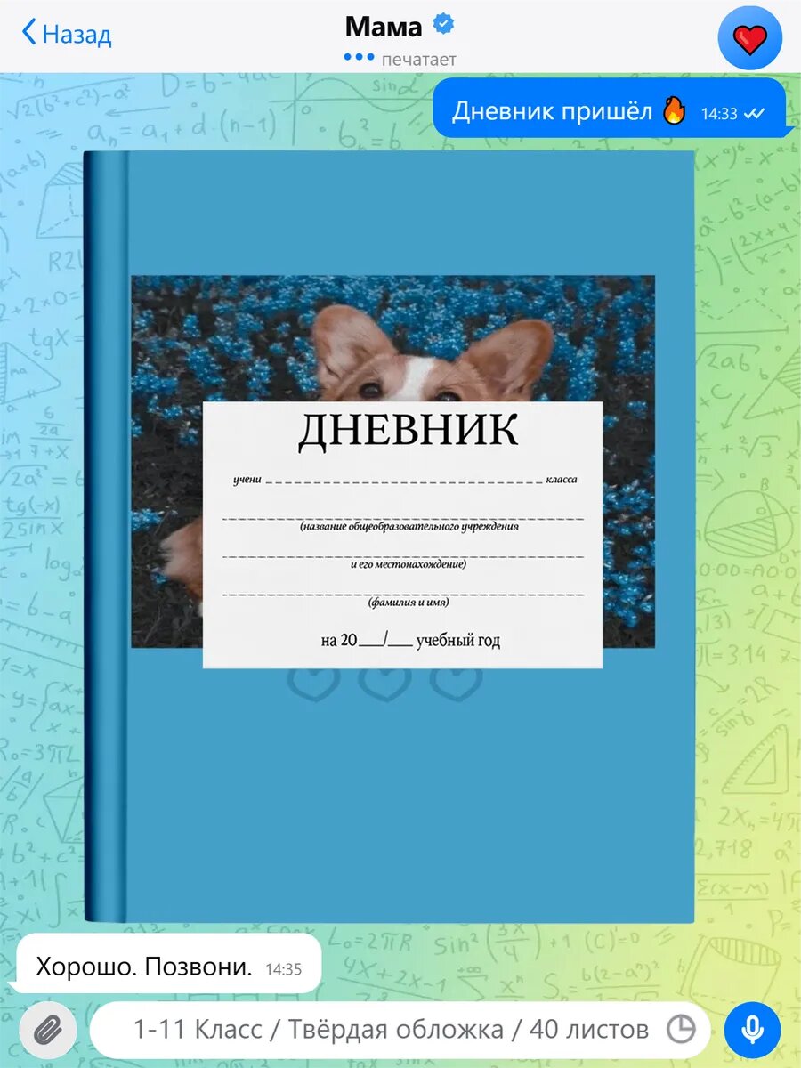 Школьный дневник с принтом Роблокс