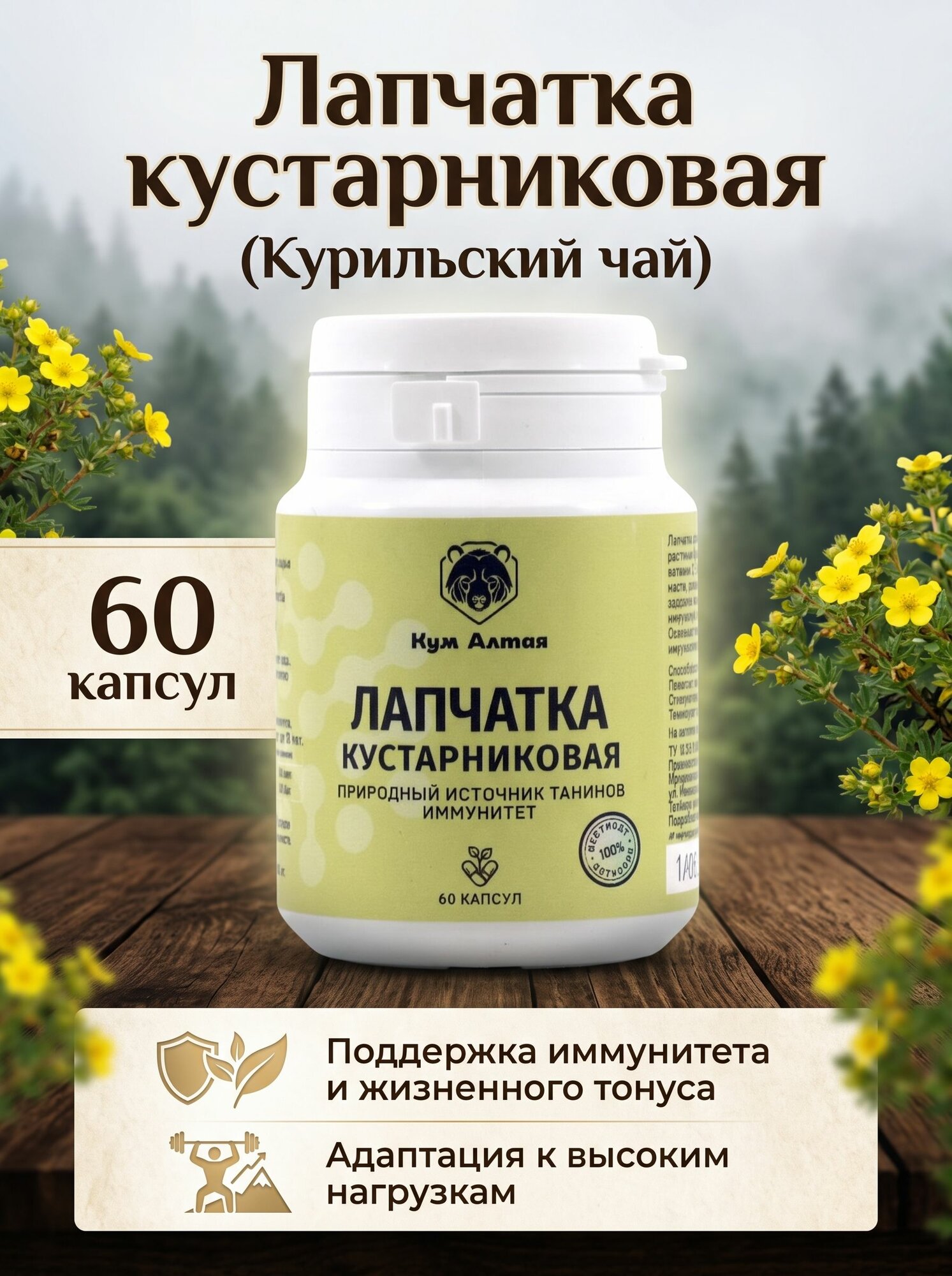 Лапчатка кустарниковая (курильский чай) Кум Алтая, 60 капсул по 500 мг. Укрепление иммунной системы