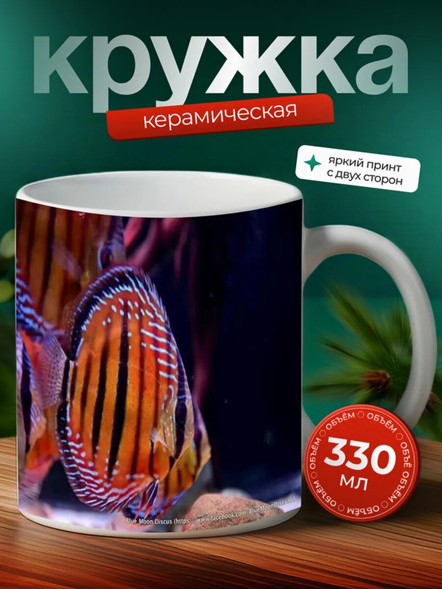 Кружка Дискус рыбка 37,