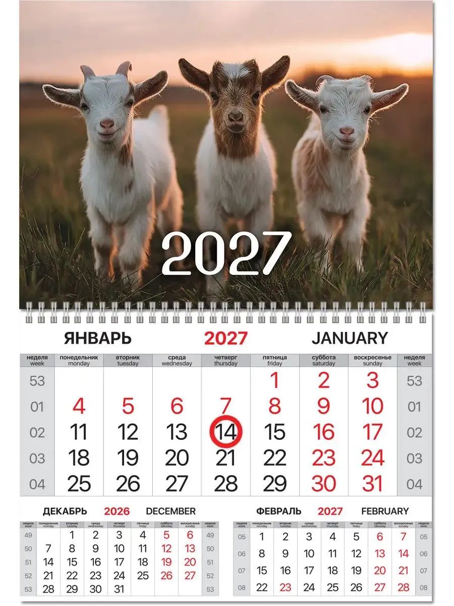 Календарь 2027г. Квартальный, магнитный курсор. Символ года. 118340