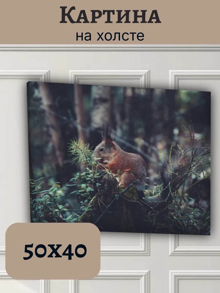 Картина Финляндия Finland 40x50 рыжая белка в лесу