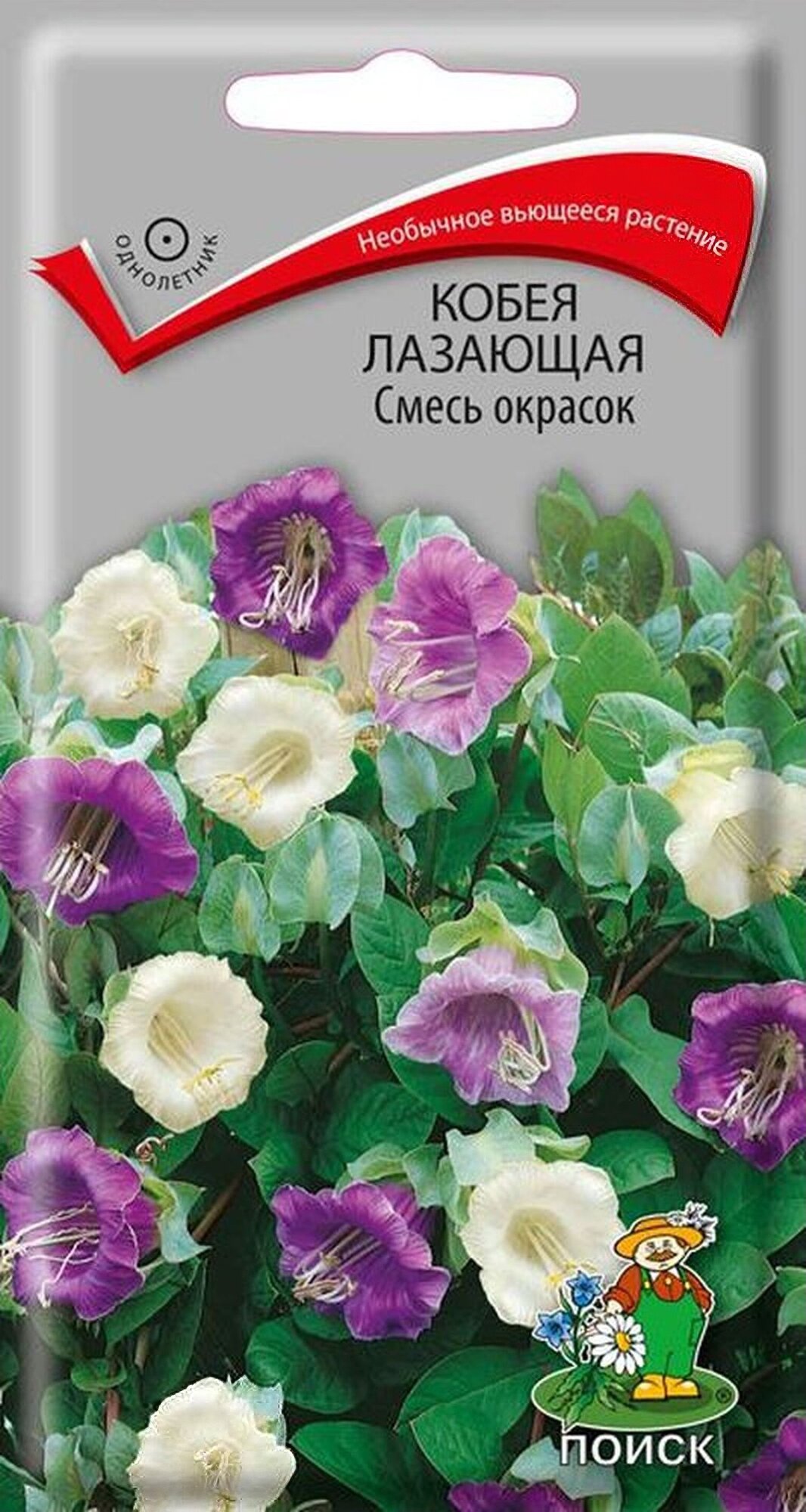 Семена Кобеи поиск Смесь окрасок лазающая 5 х 5 шт