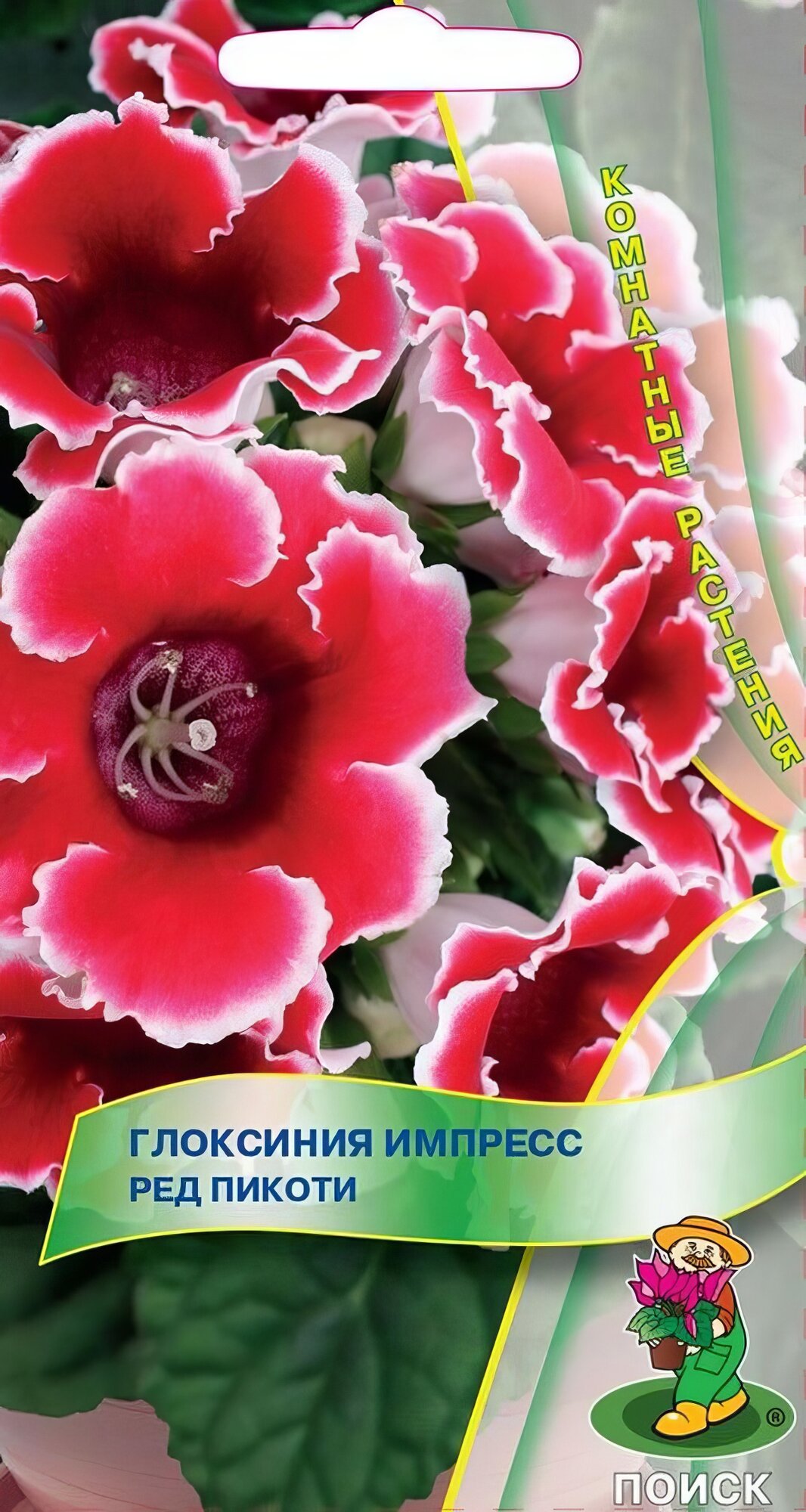 Семена Глоксиния Импресс Ред Пикоти 5 Шт