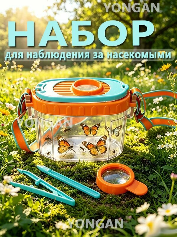 Баночка для изучения насекомых с увеличительным стеклом и пинцетом