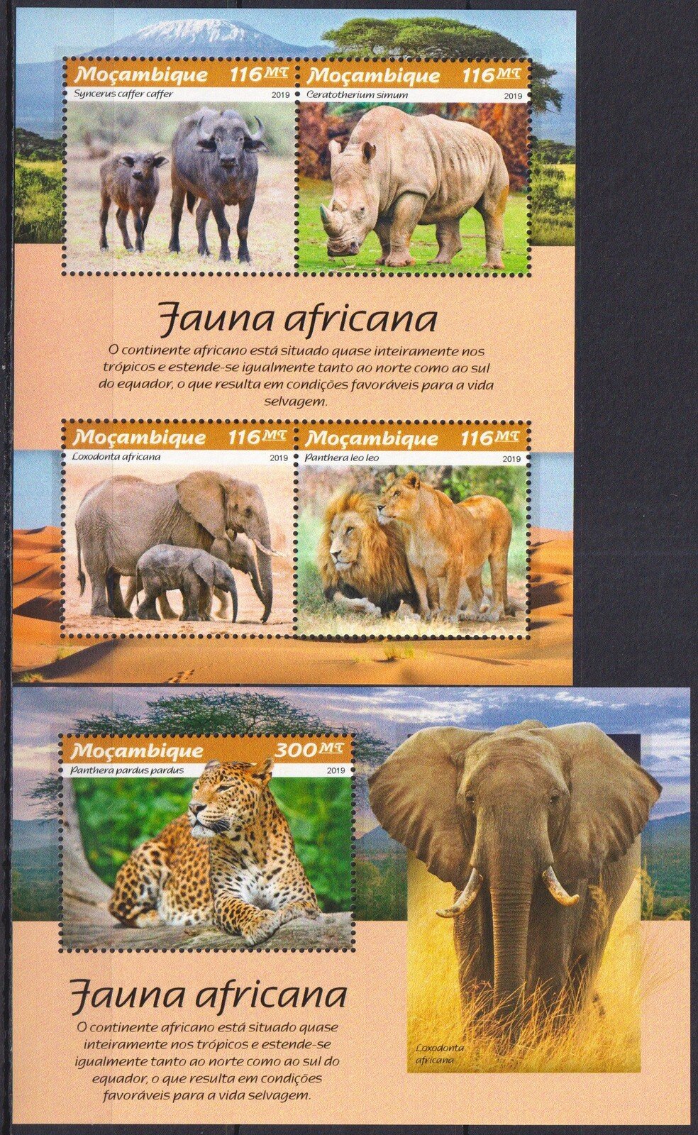 Марки 2019 год Мозамбик Африканская фауна Львы Слоны #10017-20+Bl1439 Mnh