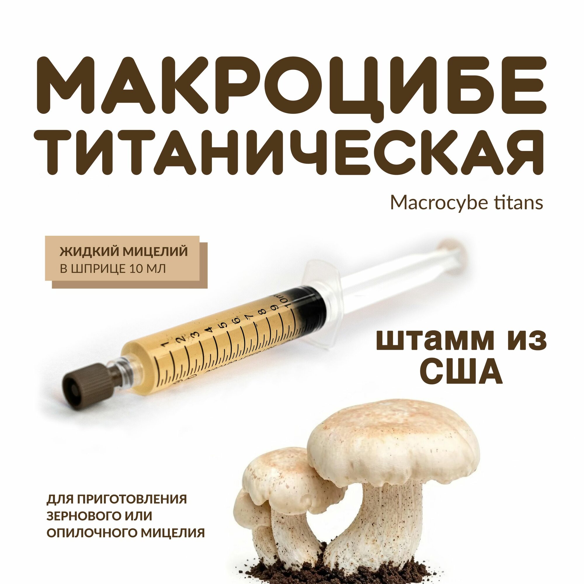 Жидкий мицелий Макроцибе титаническая