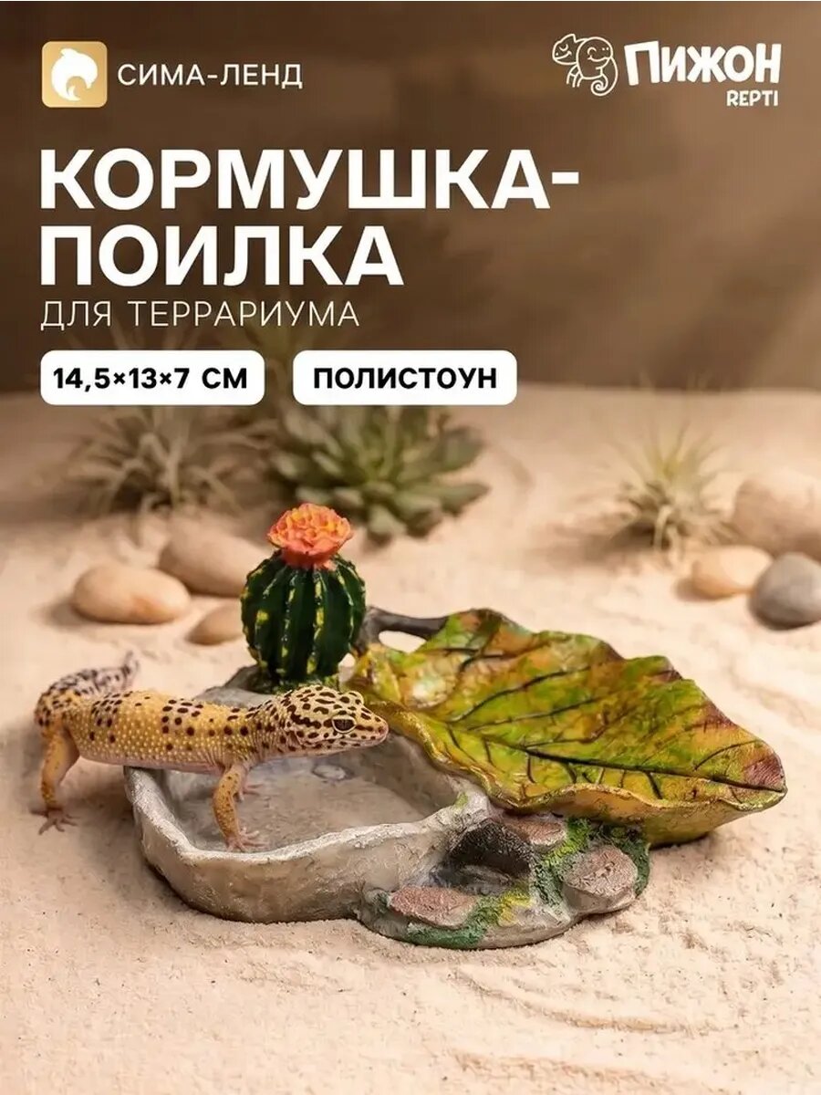 Оригинальная кормушка для террариума