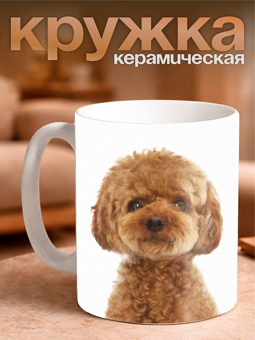 Кружка собака Мальтипу