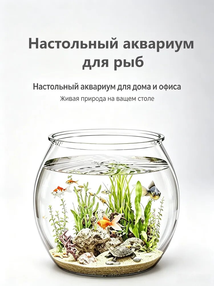 Круглый аквариум бестселлер представлен в непробиваемом исполнении